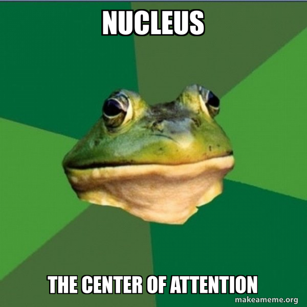 nucleus the center of attention - Foul Bachelor Frog Meme Generator