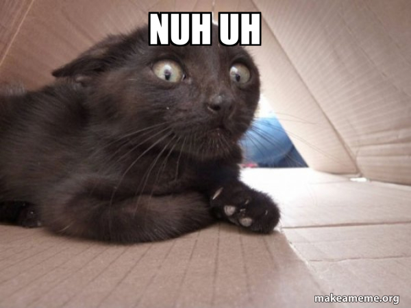 nuh uh - Schitzo Cat Meme Generator