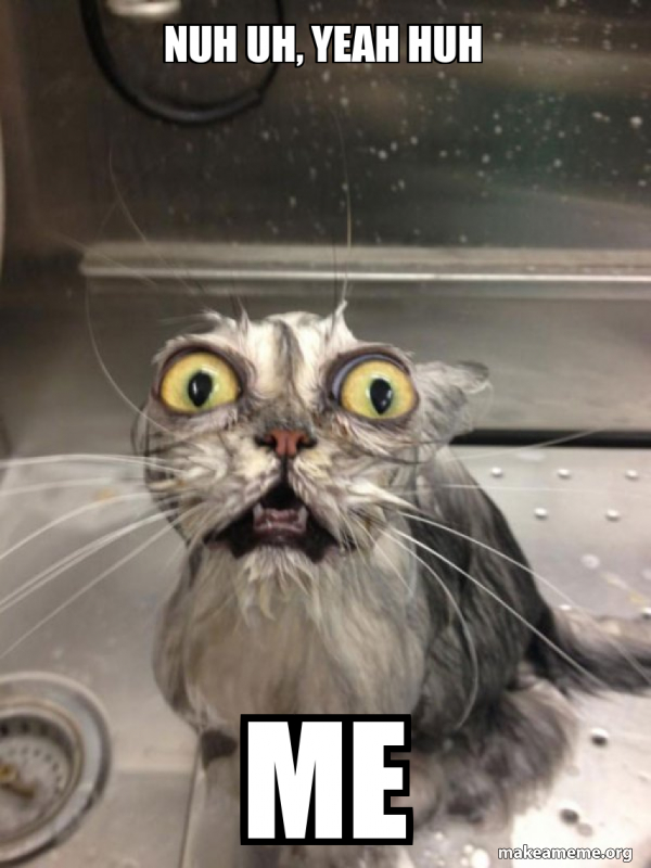 nuh uh, yeah huh me - Cat bath Meme Generator