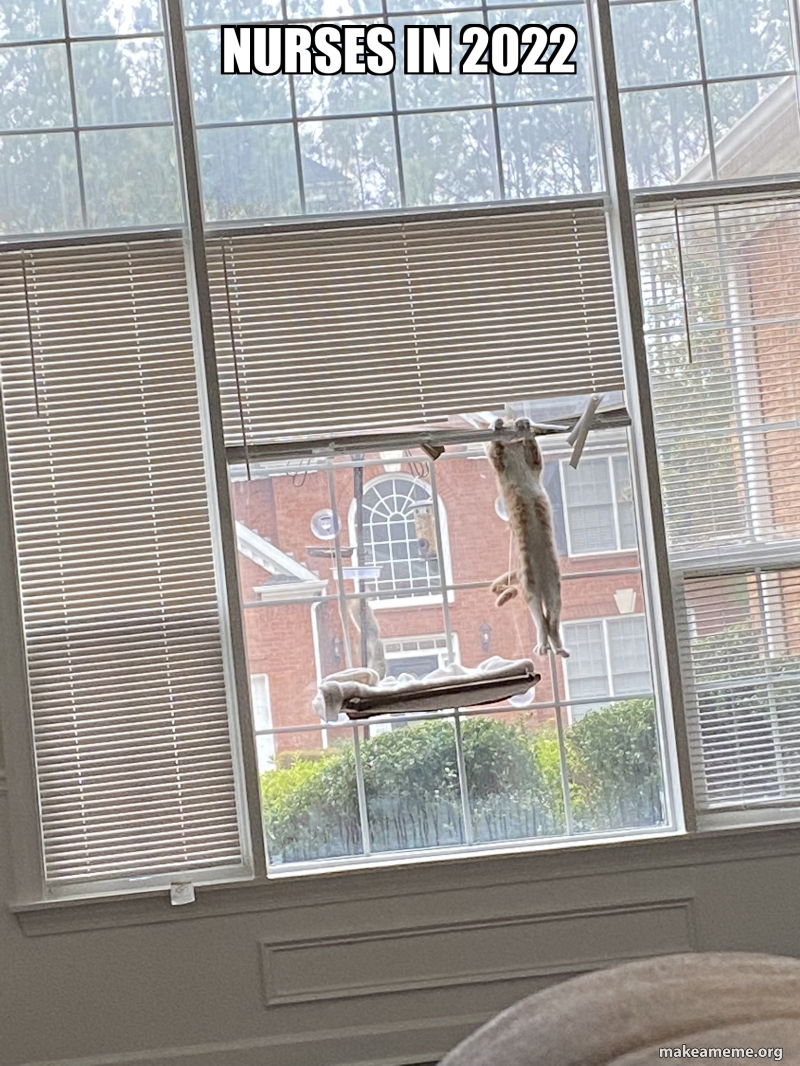 Nurses in 2022 Meme Generator