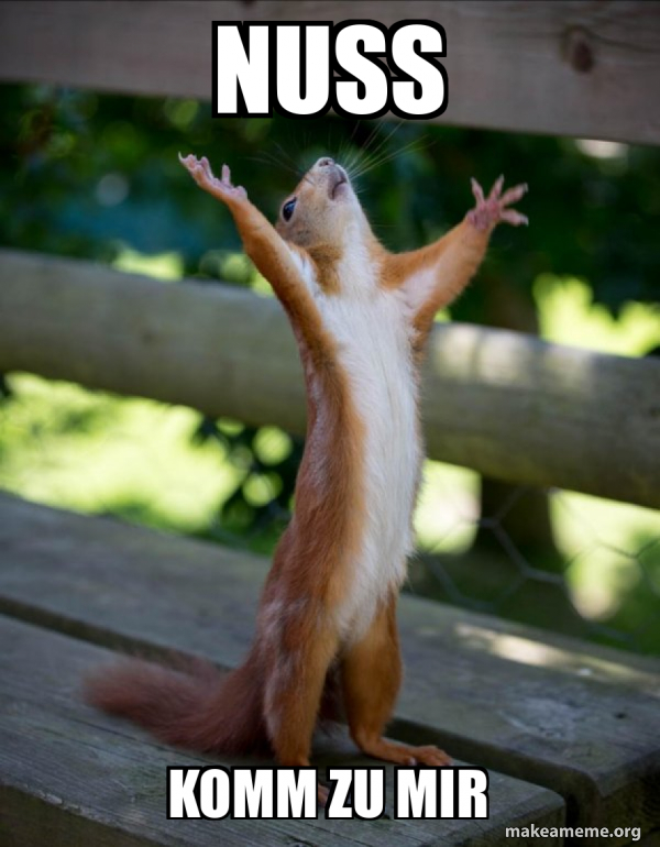 Nuss komm zu mir - Happy Squirrel Meme Generator