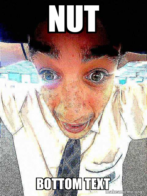 NUT BOTTOM TEXT Meme Generator
