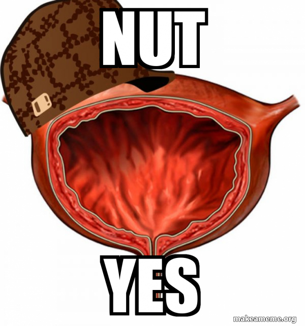 nut yes - Scumbag Bladder Meme Generator