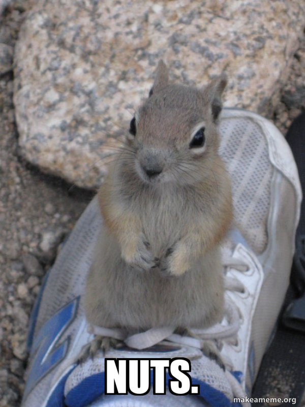 NUTS. - Standover Squirrel Meme Generator