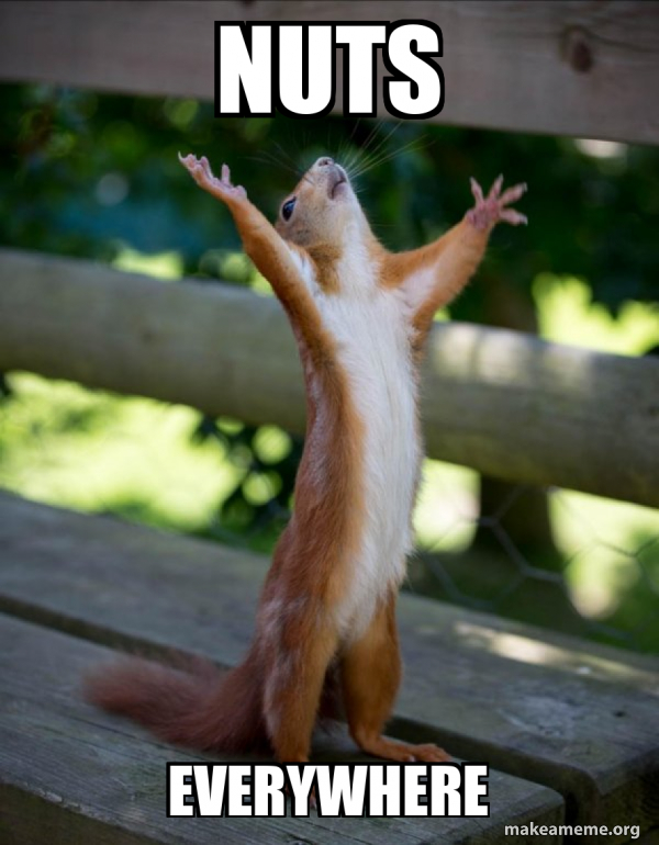 nuts everywhere - Happy Squirrel Meme Generator