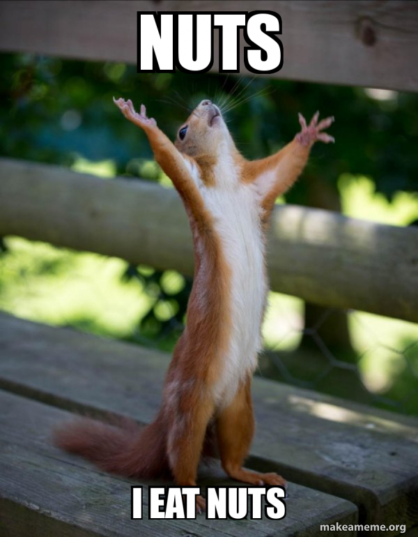 nuts i eat nuts - Happy Squirrel Meme Generator