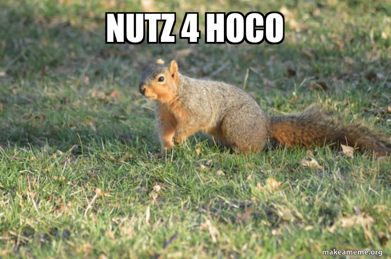 NUTZ 4 HOCO Meme Generator