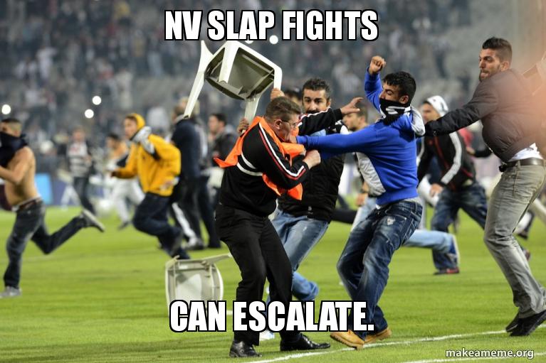 NV slap fights can escalate. - NV slap fight Meme Generator