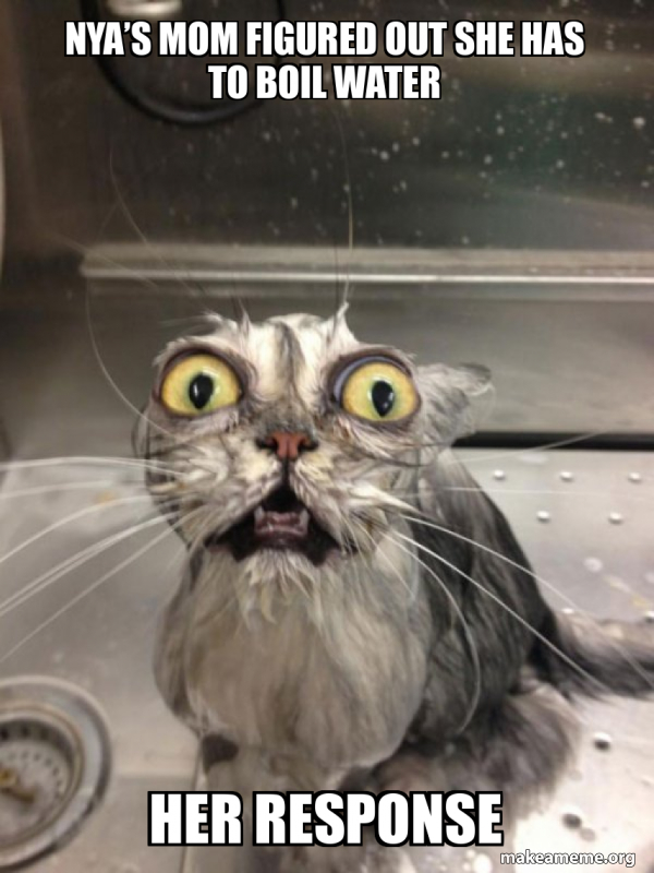 Nya’s mom figured out she has to boil water Her response - Cat bath ...