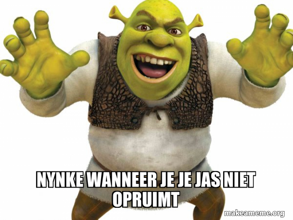 nynke wanneer je je jas niet opruimt - Shrek Meme Generator
