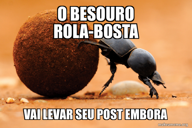 O besouro rola-bosta Vai levar seu post embora Meme Generator