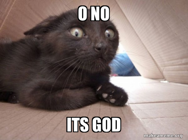 o no its god - Schitzo Cat Meme Generator