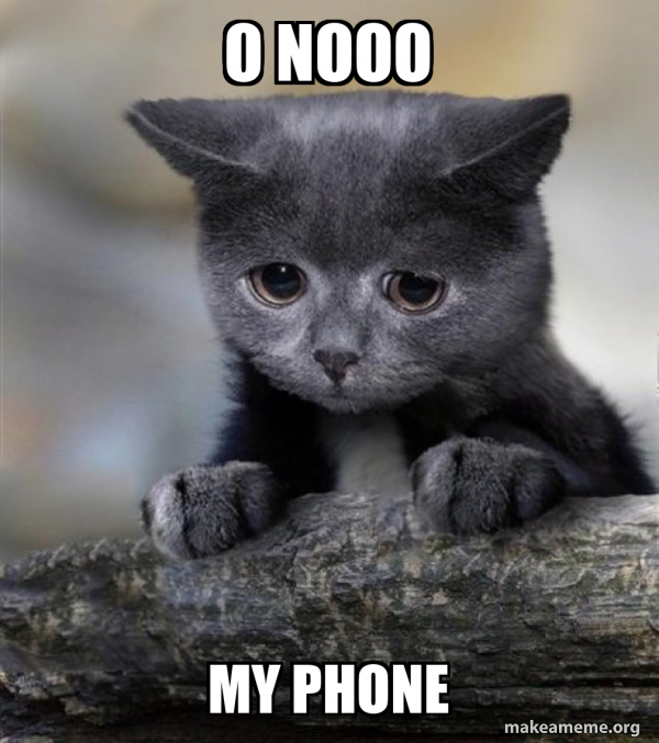 o nooo my phone - Confession Cat Meme Generator