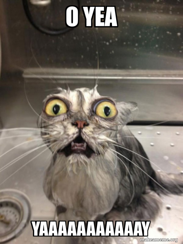 O YEA YAAAAAAAAAAAY - Cat bath Meme Generator