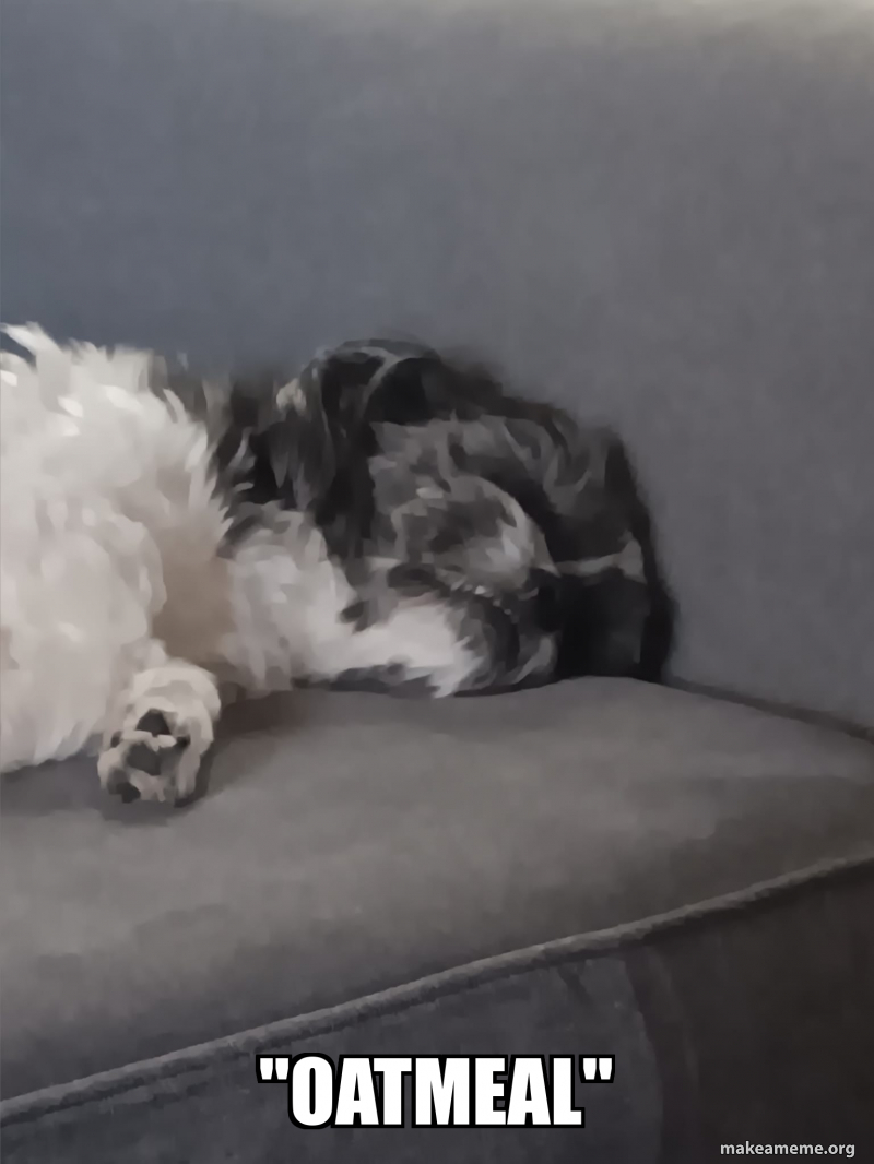 "oatmeal" Meme Generator