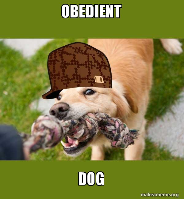 obedient dog - Scumbag dog Meme Generator