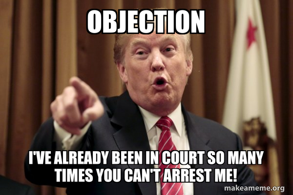 OBJECTION I'VE ALREADY BEEN IN COURT SO MANY TIMES YOU CAN'T ARREST ME ...