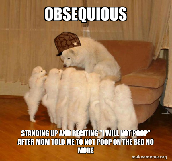 Obsequious standing up and reciting "i will not poop" after mom told me ...