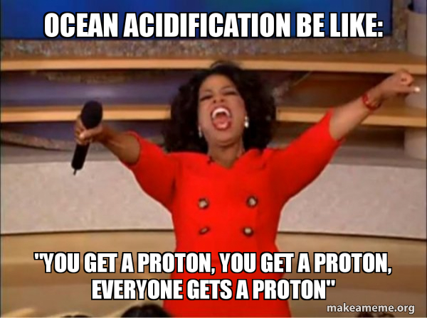 OCEAN ACIDIFICATION BE LIKE: "YOU GET A PROTON, YOU GET A PROTON ...
