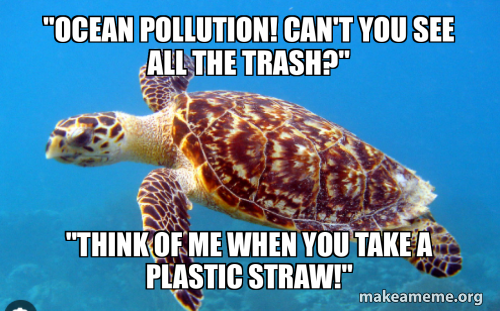  Ocean Pollution Can t You See All The Trash Think Of Me When You