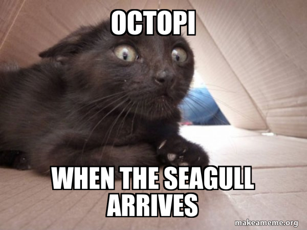 Octopi When the seagull arrives - Schitzo Cat Meme Generator