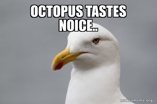 Octopus tastes noice.. - Stuff That Didn't Happen Seagull Meme Generator