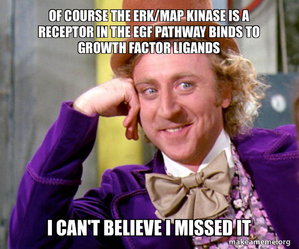 Of course the ERK/MAP Kinase is a receptor in the EGF pathway binds to ...