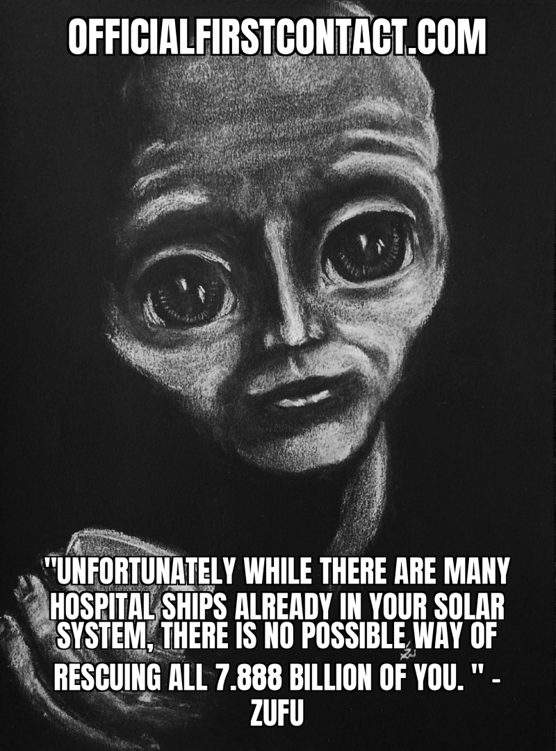 officialfirstcontact.com "unfortunately while there are many hospital ...