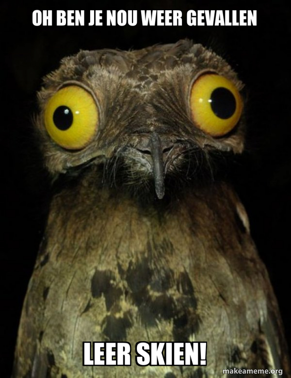 oh ben je nou weer gevallen LEER SKIEN! - Weird Stuff I do Potoo Meme ...