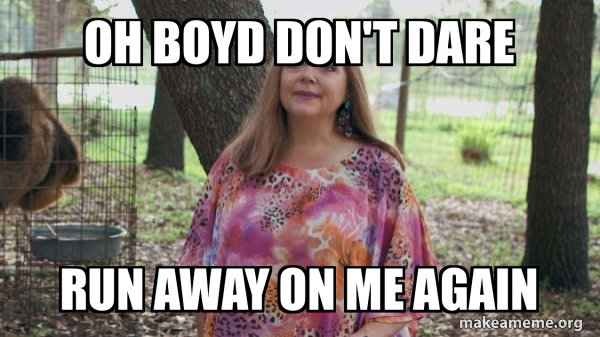 Oh Boyd don't dare Run away on me again - Carole Baskins (Carol ?) Meme ...