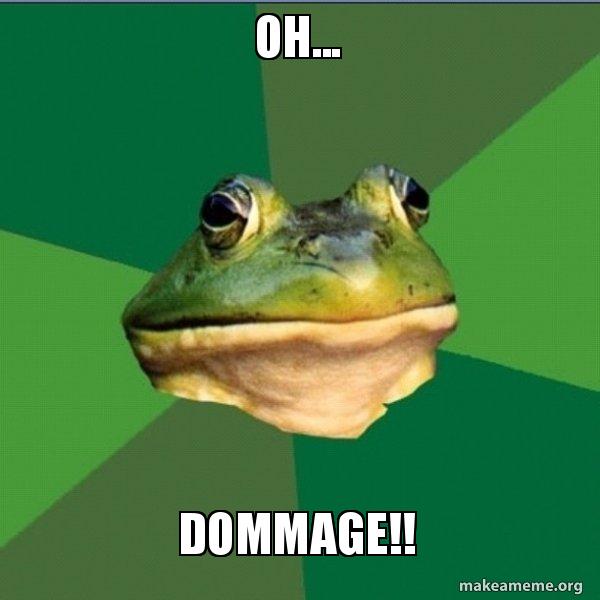 Dommage Memes 2024 January Memes Trapperman Forums