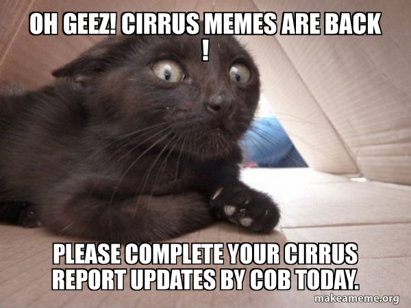 Oh Geez! Cirrus Memes are back ! Please complete your Cirrus report ...
