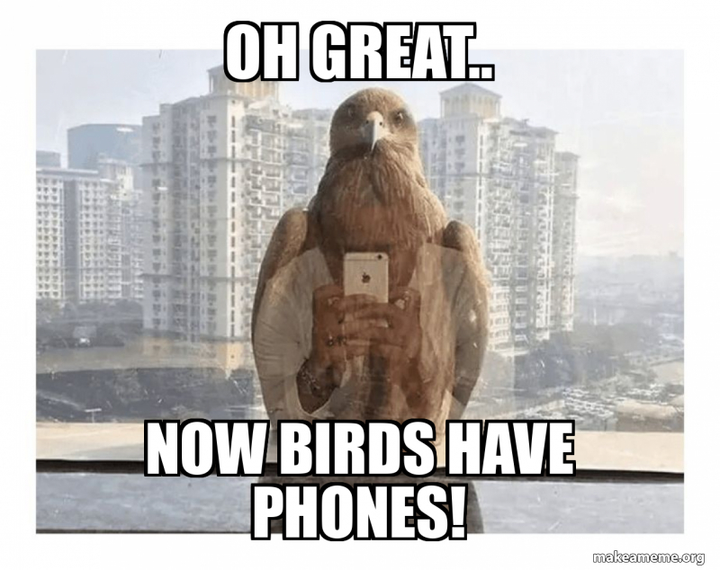 oh great.. now birds have phones! Meme Generator