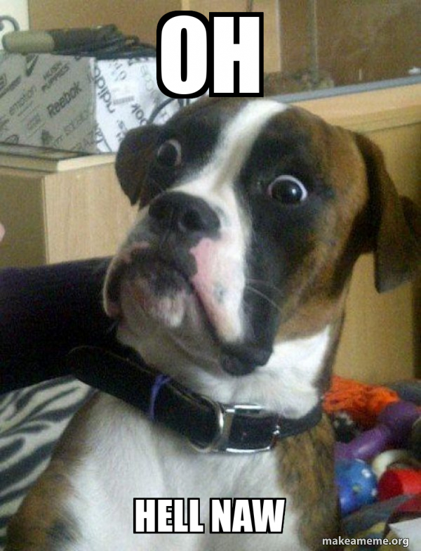 OH Hell naw - Skeptical Dog Meme Generator