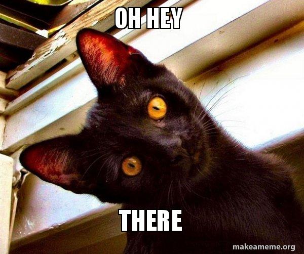 OH HEY THERE - Overly Attached Cat Meme Generator
