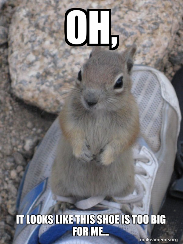 Oh, It looks like this shoe is too big for me... - Standover Squirrel ...