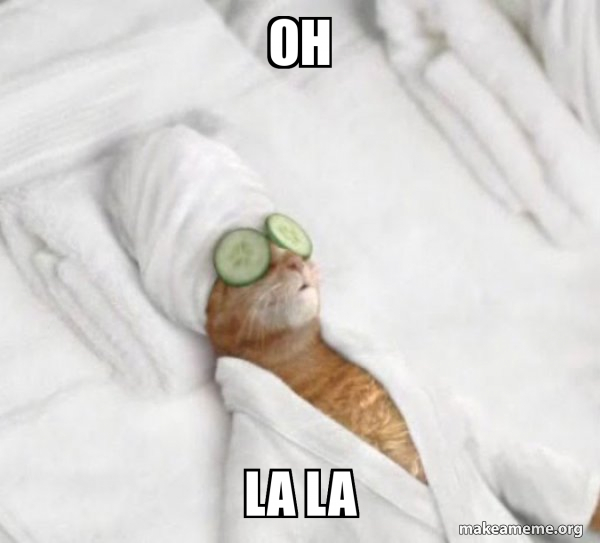 oh la la - Pampered Cat Meme Meme Generator