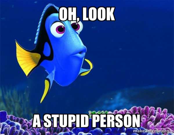 Oh, look a stupid person - Dory from Nemo (5 second memory) Meme Generator