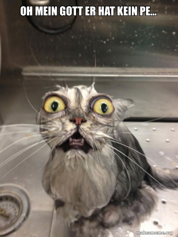Oh mein Gott er hat kein Pe… - Cat bath Meme Generator