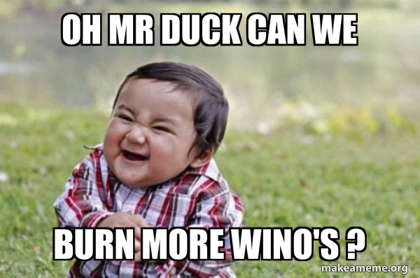 Oh Mr Duck can we Burn more wino's ? - Evil, scheming toddler Meme ...