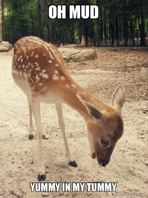 OH MUD YUMMY IN MY TUMMY - O M G Deer Meme Generator