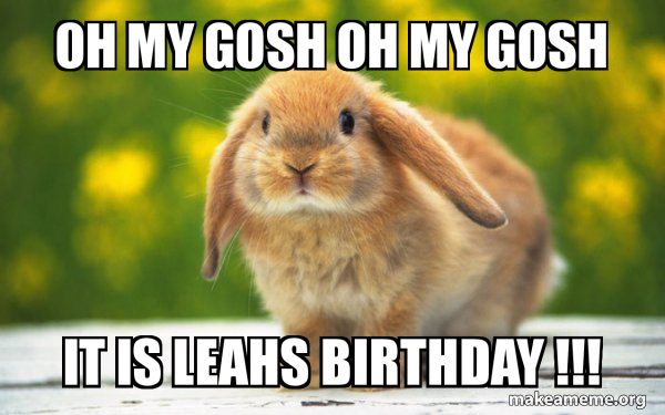 OH MY GOSH OH MY GOSH IT IS LEAHS BIRTHDAY !!! - Regretful Rabbit Meme ...