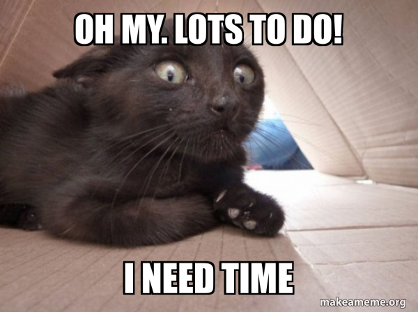 Oh my. Lots to do! I need TIME - Schitzo Cat Meme Generator