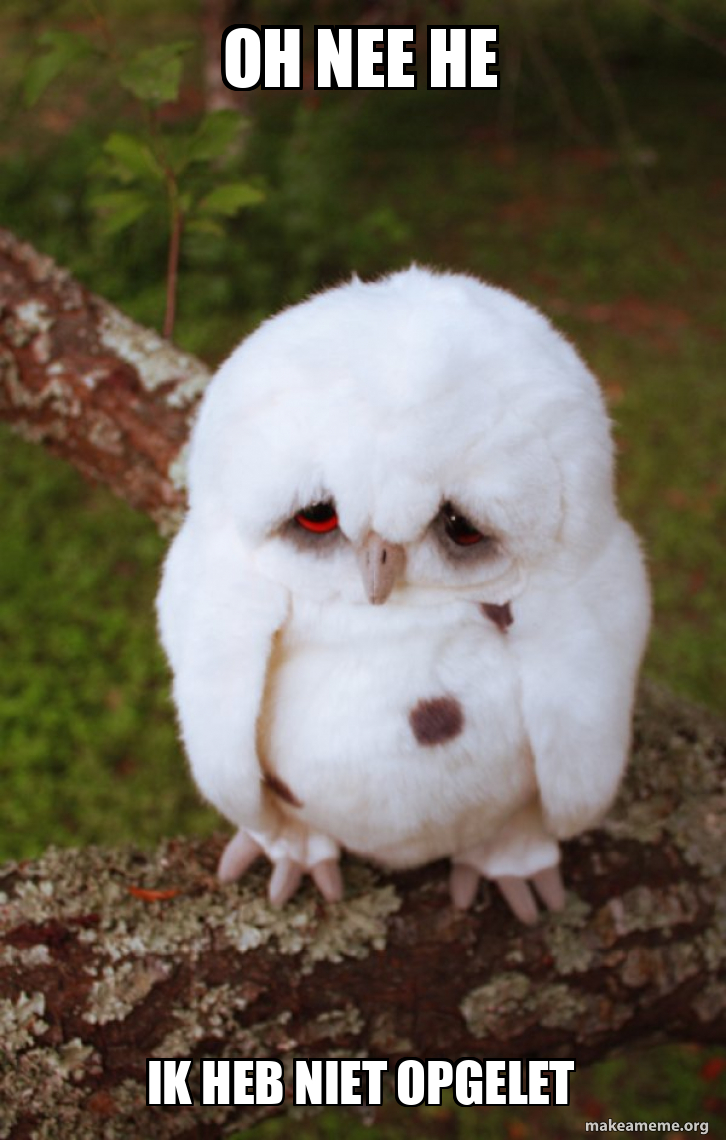 Oh nee he Ik heb niet opgelet - Sad Owl Meme Generator