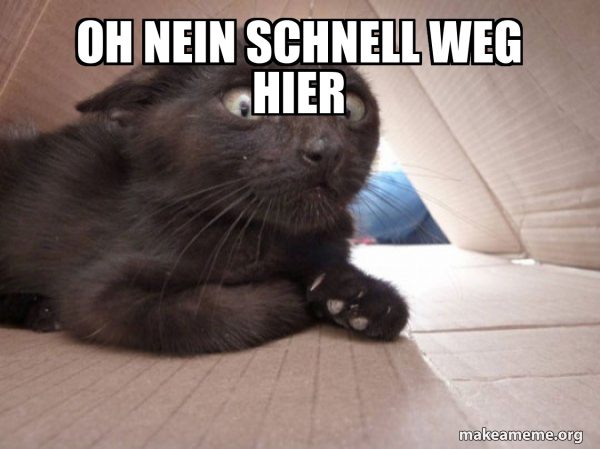 Oh nein schnell weg hier - Schitzo Cat Meme Generator