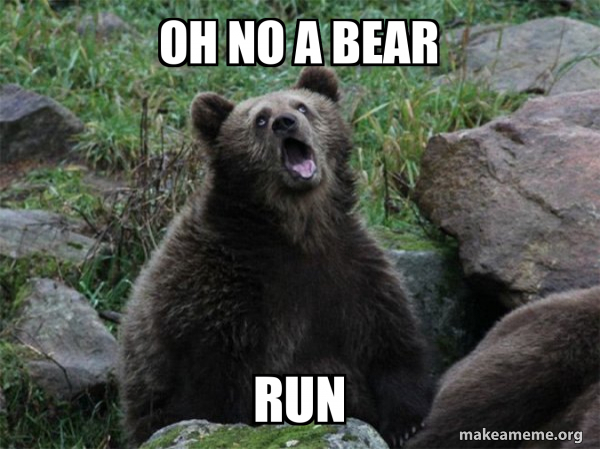 Oh no a Bear Run - Sarcastic Bear Meme Generator