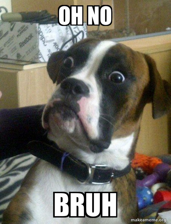 oh no BRUH - Skeptical Dog Meme Generator