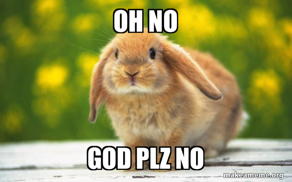 OH NO GOD PLZ NO - Regretful Rabbit Meme Generator