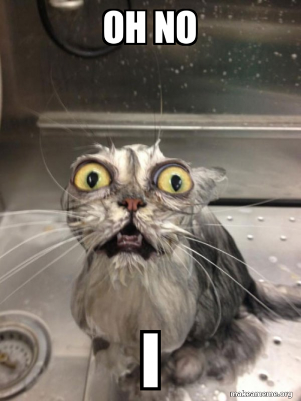 Oh no I - Cat bath Meme Generator