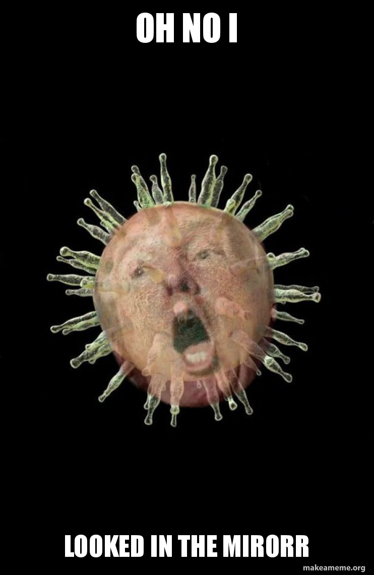 oh no i looked in the mirorr - Trumpvirus TrumpPandemic Meme Generator